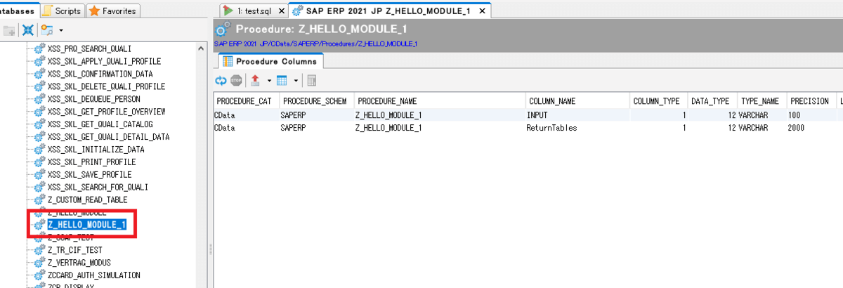 Cdata Sap Driver Deep Dive How To Create Sap Rfc Module And Access 4927